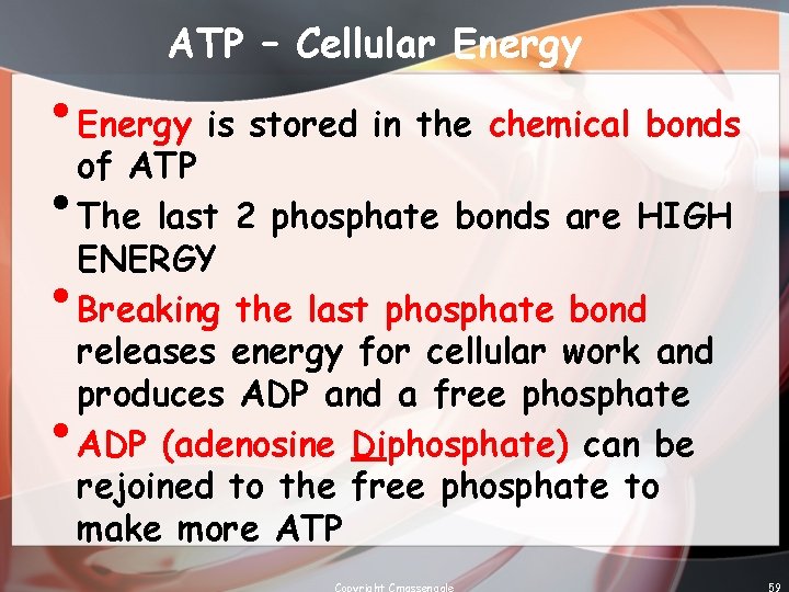 Biochemistry of Cells 1 Carbonbased Molecules Although a