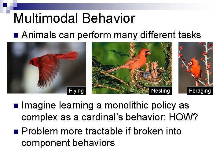 Evolving Multimodal Behavior Through Modular Multiobjective Neuroevolution By