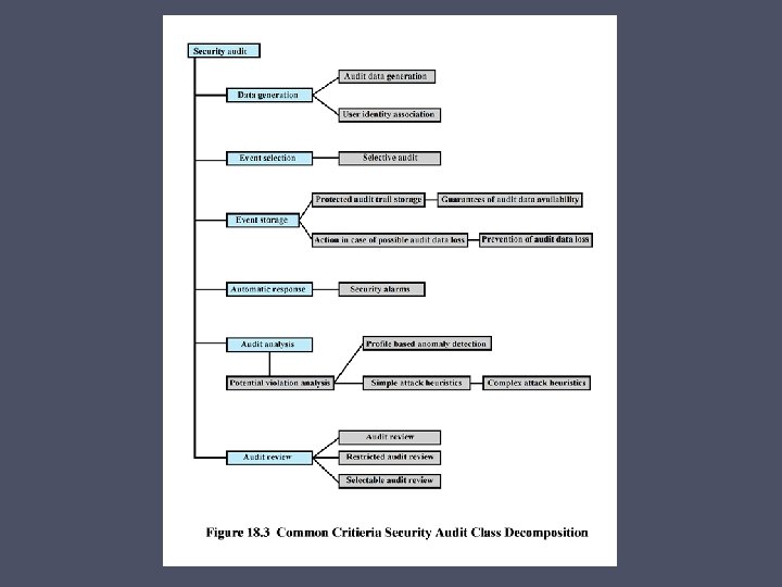 Computer Security Principles and Practice Fourth Edition By