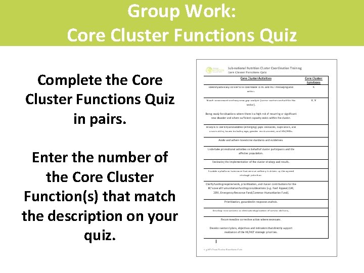 1 3 The Nutrition Cluster Roles and Responsibilities