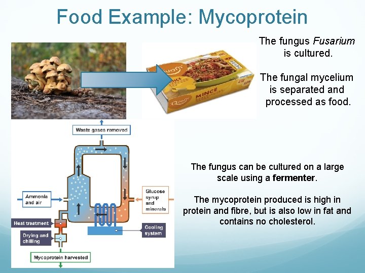 Microorganisms Food Module 6 4 Cloning Biotechnology Learning