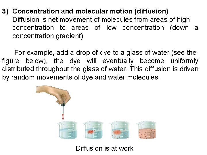 Lab 7 Diffusion and Osmosis Objectives Understand what