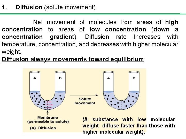 Lab 7 Diffusion and Osmosis Objectives Understand what