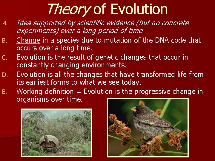 Standard 5 Unit 12 Evolution Biodiversity Objective B