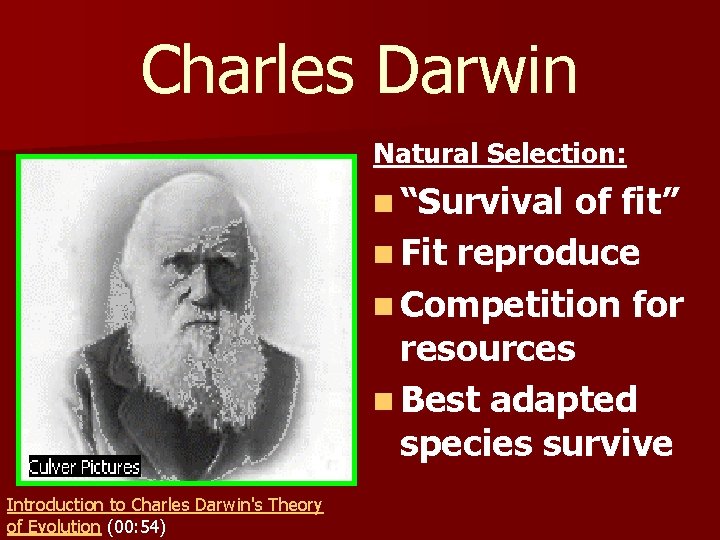 Standard 5 Unit 12 Evolution Biodiversity Objective B