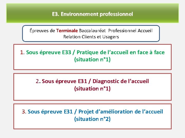 BACCALAURAT PROFESSIONNEL Accueil Relation clients et usagers DFINITION