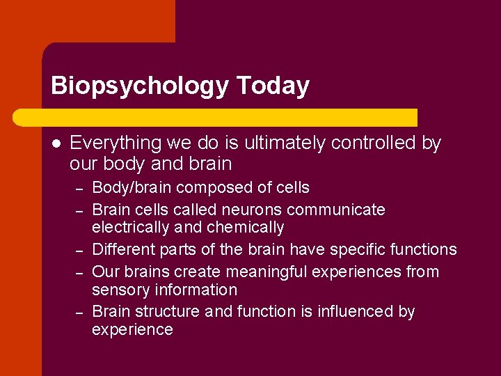 AP Psychology Unit 2 The Biological Bases of