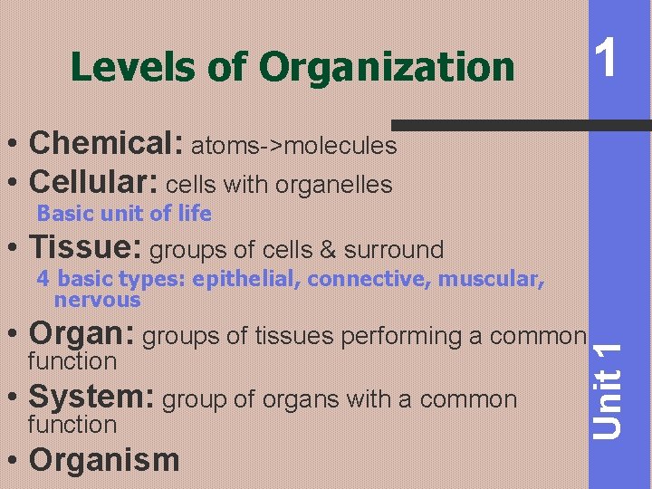 Organization of the Human Body 1 Unit 1