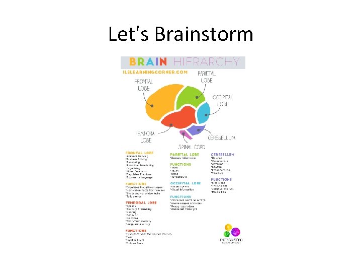 BRAIN BASICS NEUROREGULATION AND THE POWER OF PLAY