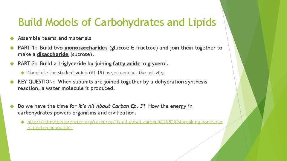 Organic Molecules Day 1 OBJECTIVES 1 Analyze macromolecules