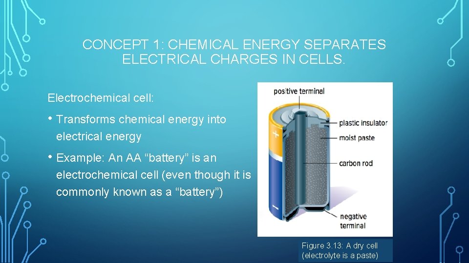 BATTERIES BATTERY LAB BUILD A BATTERY You and