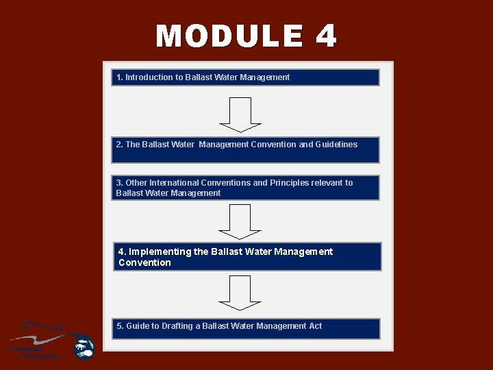 MODULE 4 Implementing the Ballast Water Management Convention