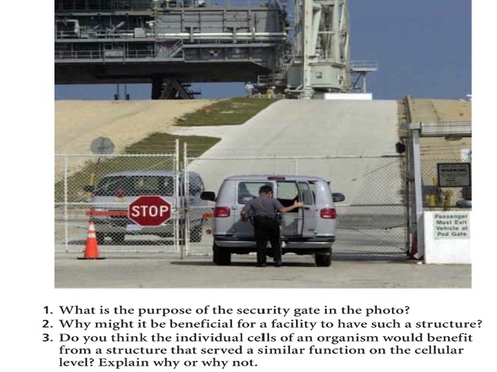 CELLULAR STRUCTURE AND FUNCTION Bell Ringer 1 How