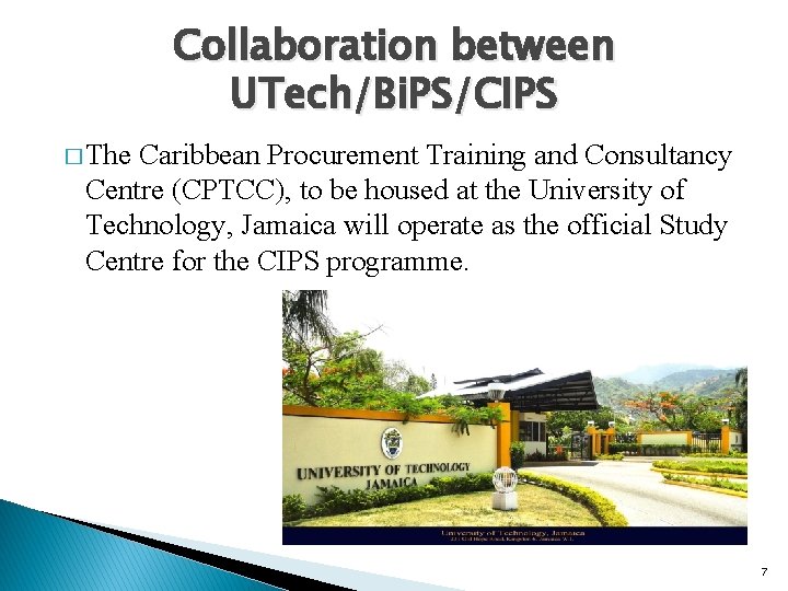 A New Day in Caribbean Procurement An Overview