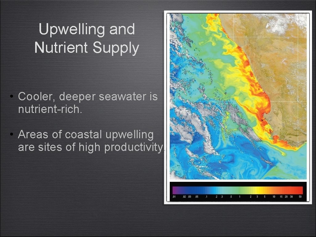 Biological Productivity in the Ocean Part I Overview