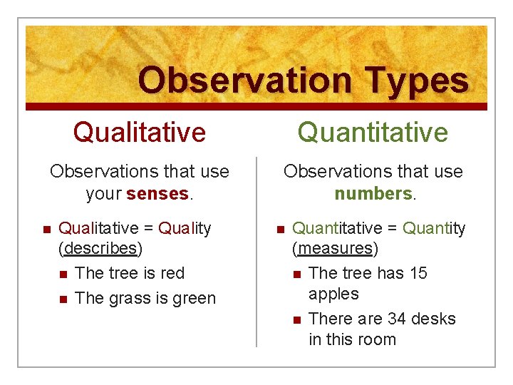 Mystery Bag Reveal Baseball 1 Cinnamon Wax 2