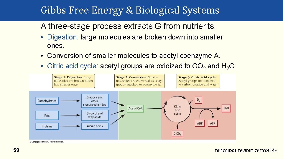 First Law of Thermodynamics energy cannot be created