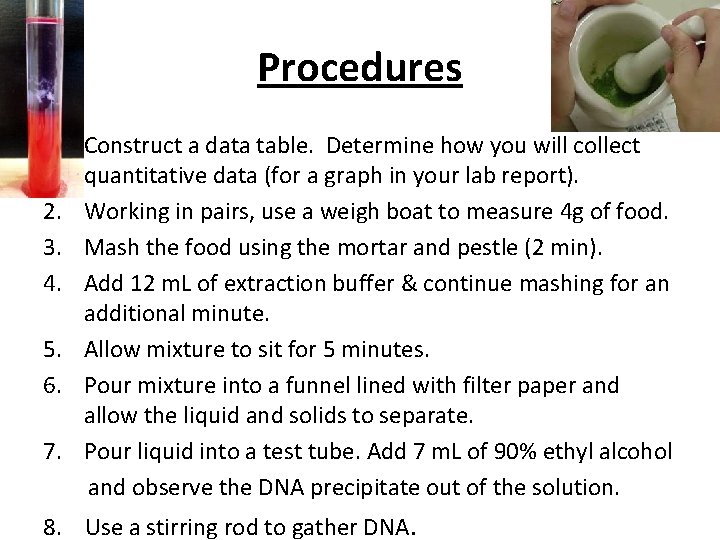 DNA Extraction Banana Strawberry Corn Pea Why DNA