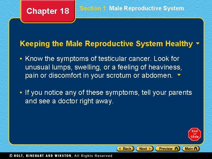 Chapter 18 Section 1 Male Reproductive System Bellringer