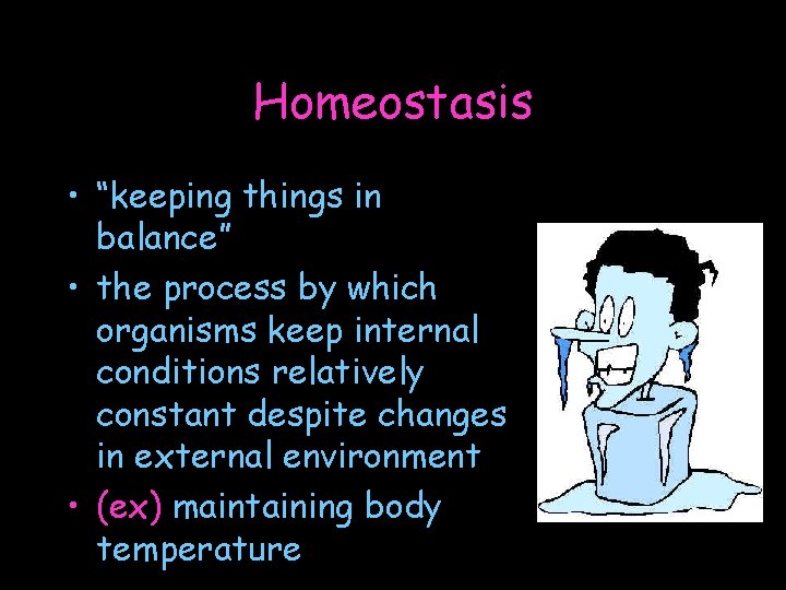 Organization of the Body and the Nervous System