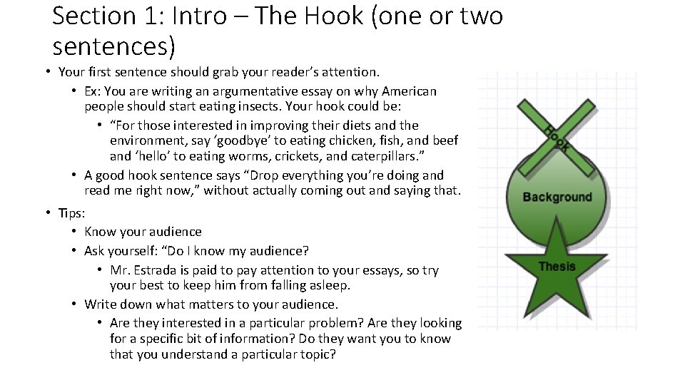 The Argumentative Essay Basic Structure of the Argumentative