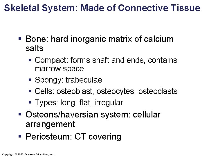 Chapter 5 The Skeletal System Structure of bone