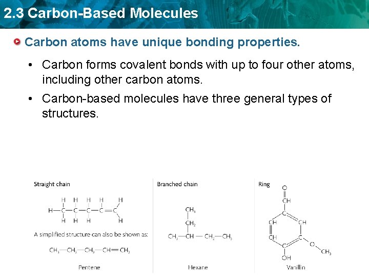 2 3 CarbonBased Molecules KEY CONCEPT Carbonbased molecules
