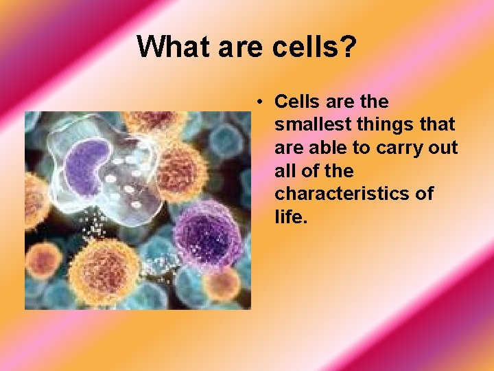 Biology Unit 3 Cell Structures What are cells