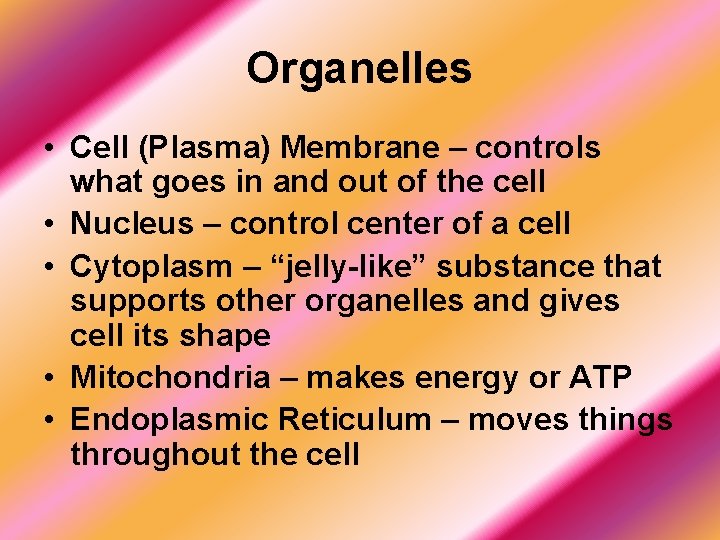 Biology Unit 3 Cell Structures What are cells