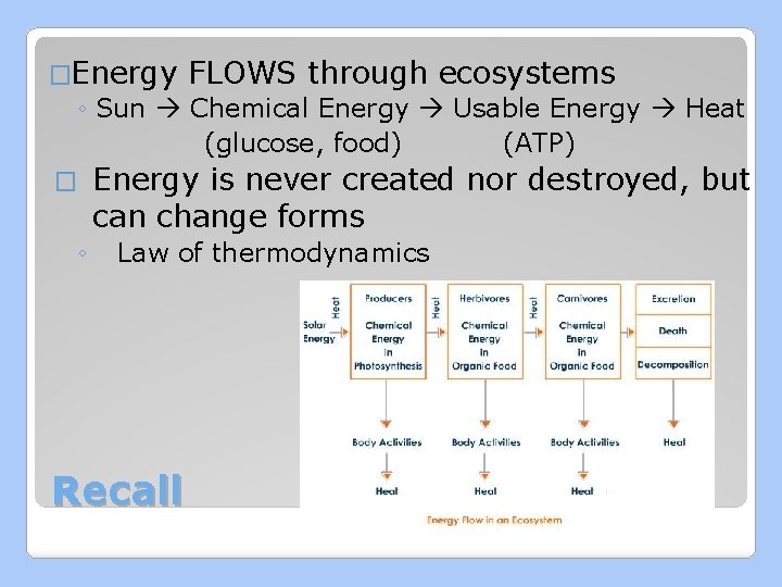 Biogeochemical Cycles Honors Biology Energy FLOWS through ecosystems