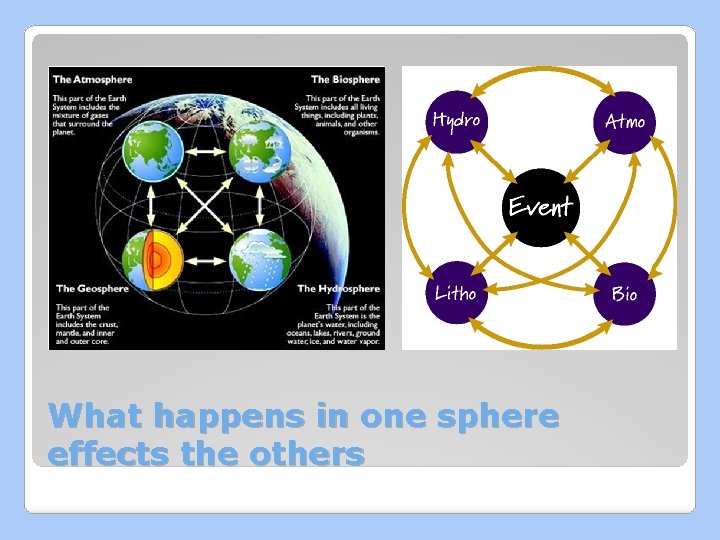 Biogeochemical Cycles Honors Biology Energy FLOWS through ecosystems