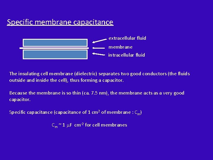 Cellular Neuroscience 207 Ian Parker Lecture 2 Passive