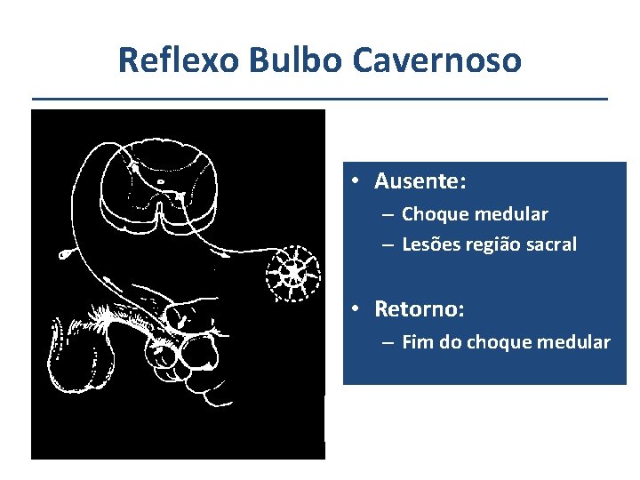 Trauma Raquimedular Fernando Herrero Prof Dr Departamento de