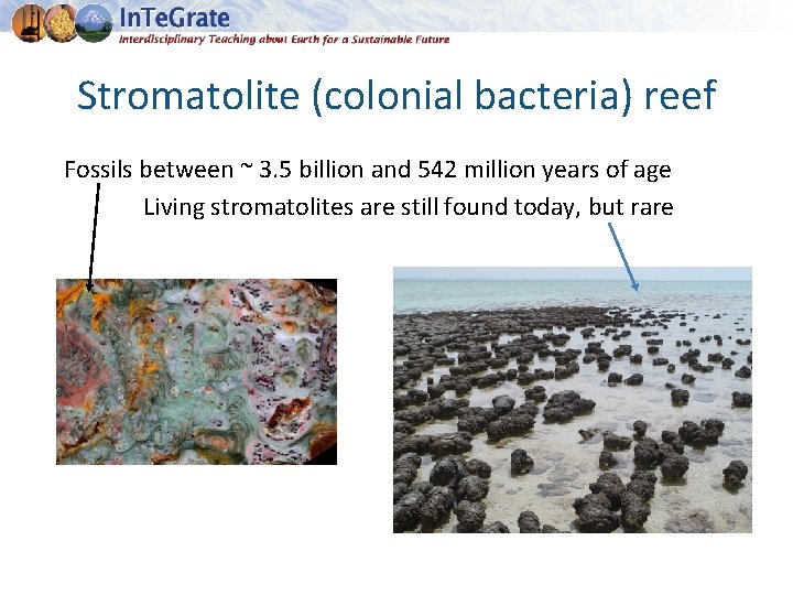 The Changing Biosphere Lessons from the Past Unit