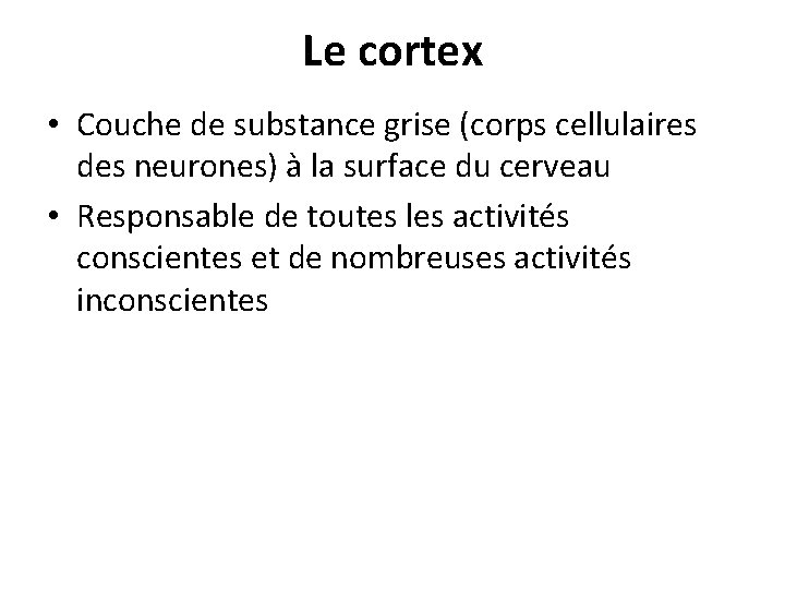 ANATOMIE ET PHYSIOLOGIE DU SYSTME NERVEUX PLAN 1