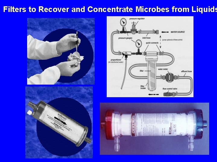 Sampling and detection of microorganisms in the environment