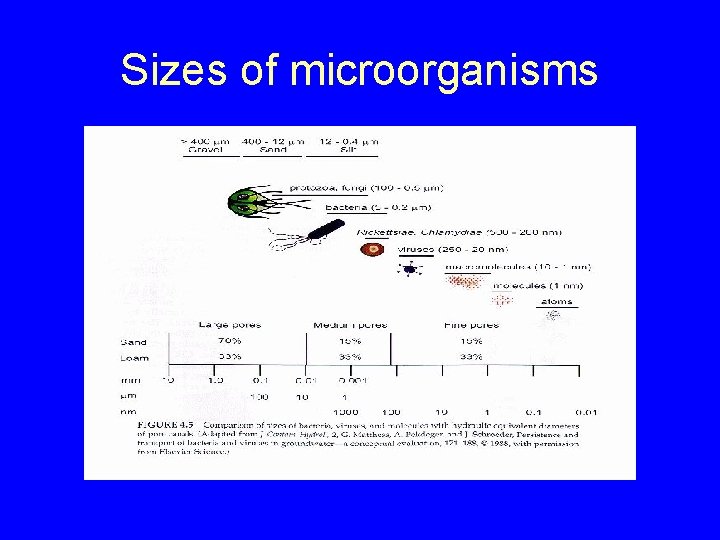 Sampling and detection of microorganisms in the environment