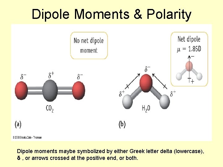 Bonding Ionic Bonds An attraction between anions and