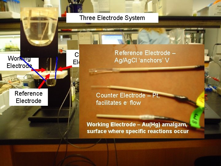 Water Chemistry Analysis Sampling Where When How Big