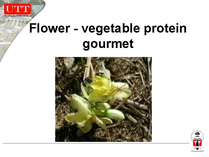 AN UNDER EXPLOITED CROP IN THE CARIBBEAN Biosciences