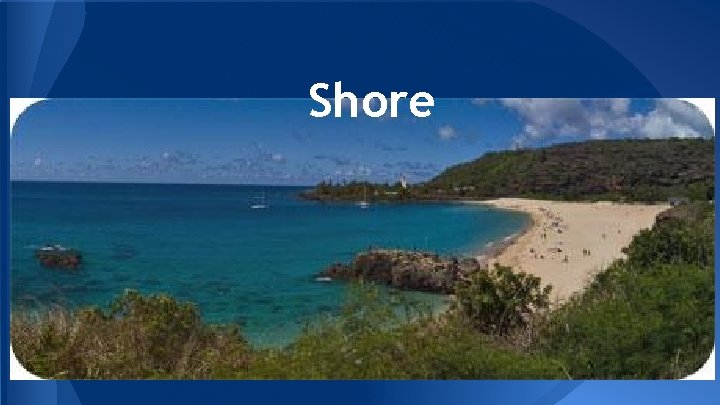 Coral Reef Vocabulary U 5 L 3 Treasures