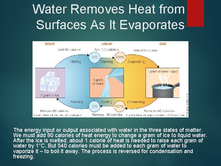 Chapter 6 Water and Ocean Structure The Water