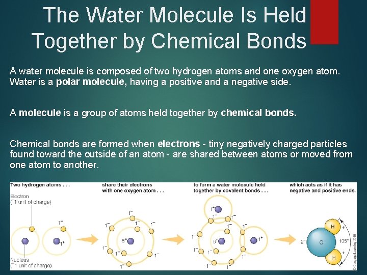 Chapter 6 Water and Ocean Structure The Water