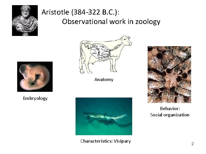 Animal Behavior Why and how do animals do