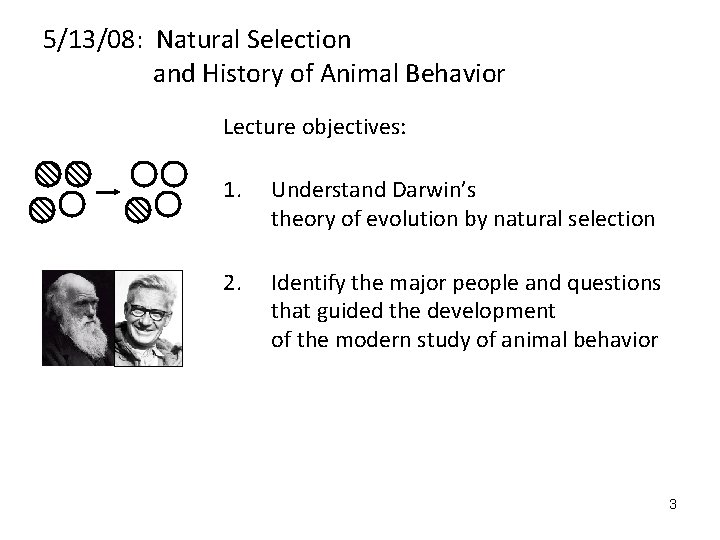 Animal Behavior Why and how do animals do