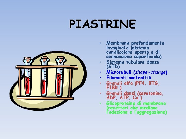 EMOSTASI Fase vascolare piastrinica plasmatica Coagulazione Fibrinolisi ...