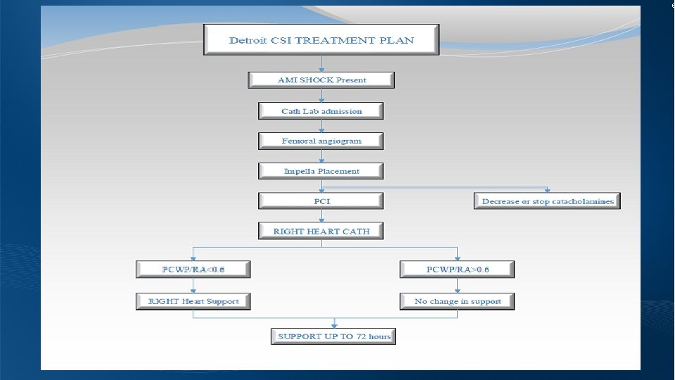 Detroit Cardiogenic Shock Initiative Theodore L Schreiber MD