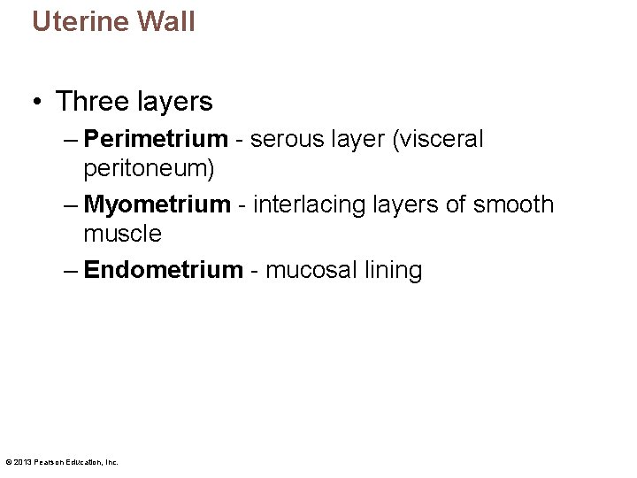 Power Point Lecture Slides prepared by Barbara Heard
