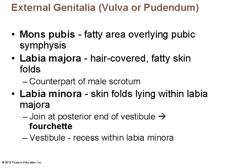 Power Point Lecture Slides prepared by Barbara Heard