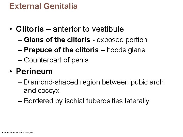 Power Point Lecture Slides prepared by Barbara Heard